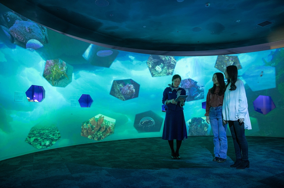 ANA・AIRDOで行く！人気の2都市を巡る♪30以上のメニューが全部使える「あそび放題パスポート」＆環境にやさしいハイブリッド車・レンタカー ...