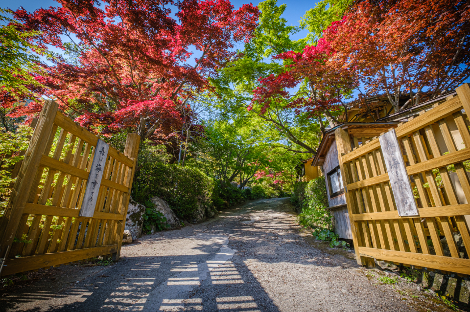 【2025年8月～12月出発】＜JAL限定便利用だからこの価格！＞九州各県から選べるホテル！ ばり得 九州 3日間【HIS東京発】