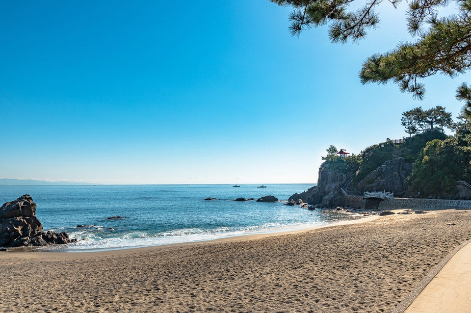 【初夢フェア】☆高知県より最大4000円の助成金を適用！中部国際空港発着☆＜レンタカーSクラス付＞FDA高知直行便で行く！四国有数のパワー ...